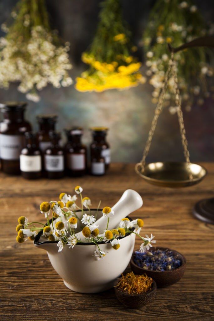 Professional Herbalist Course - Herb Whisperer