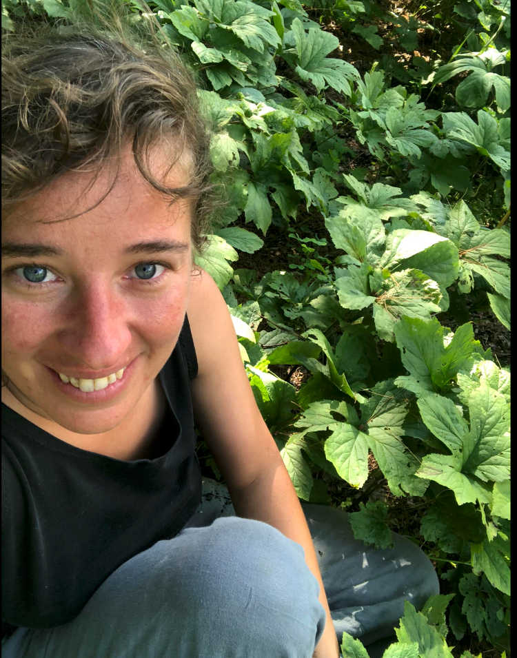 Laura Torraco - Herb Whisperer