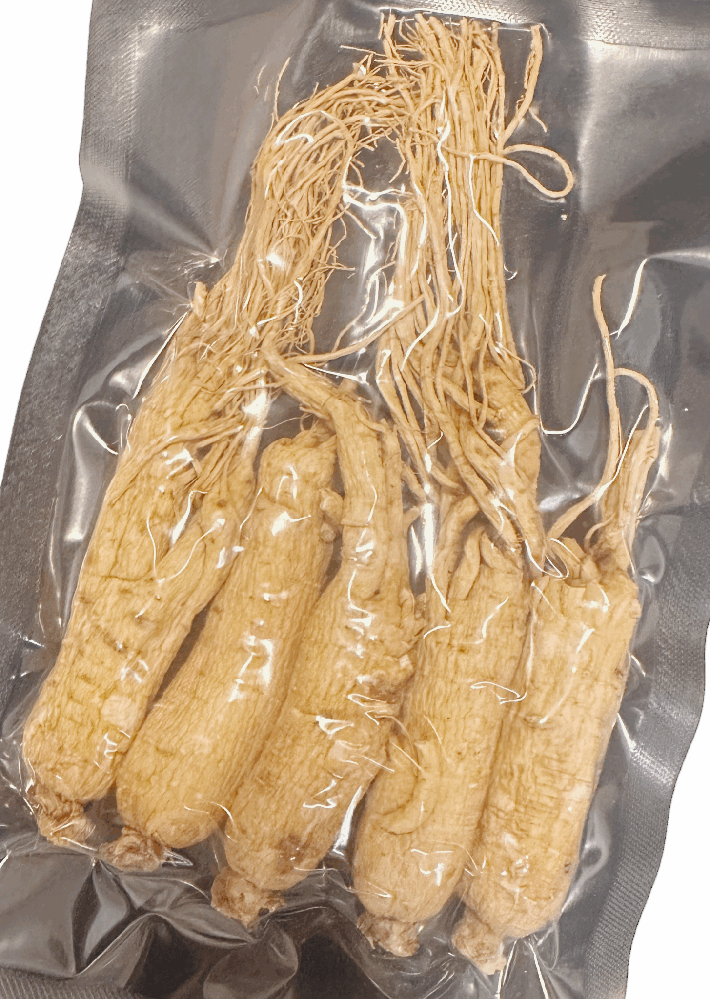 Ginseng Root Whole 2025 New Harvest (5 roots) - Herb Whisperer