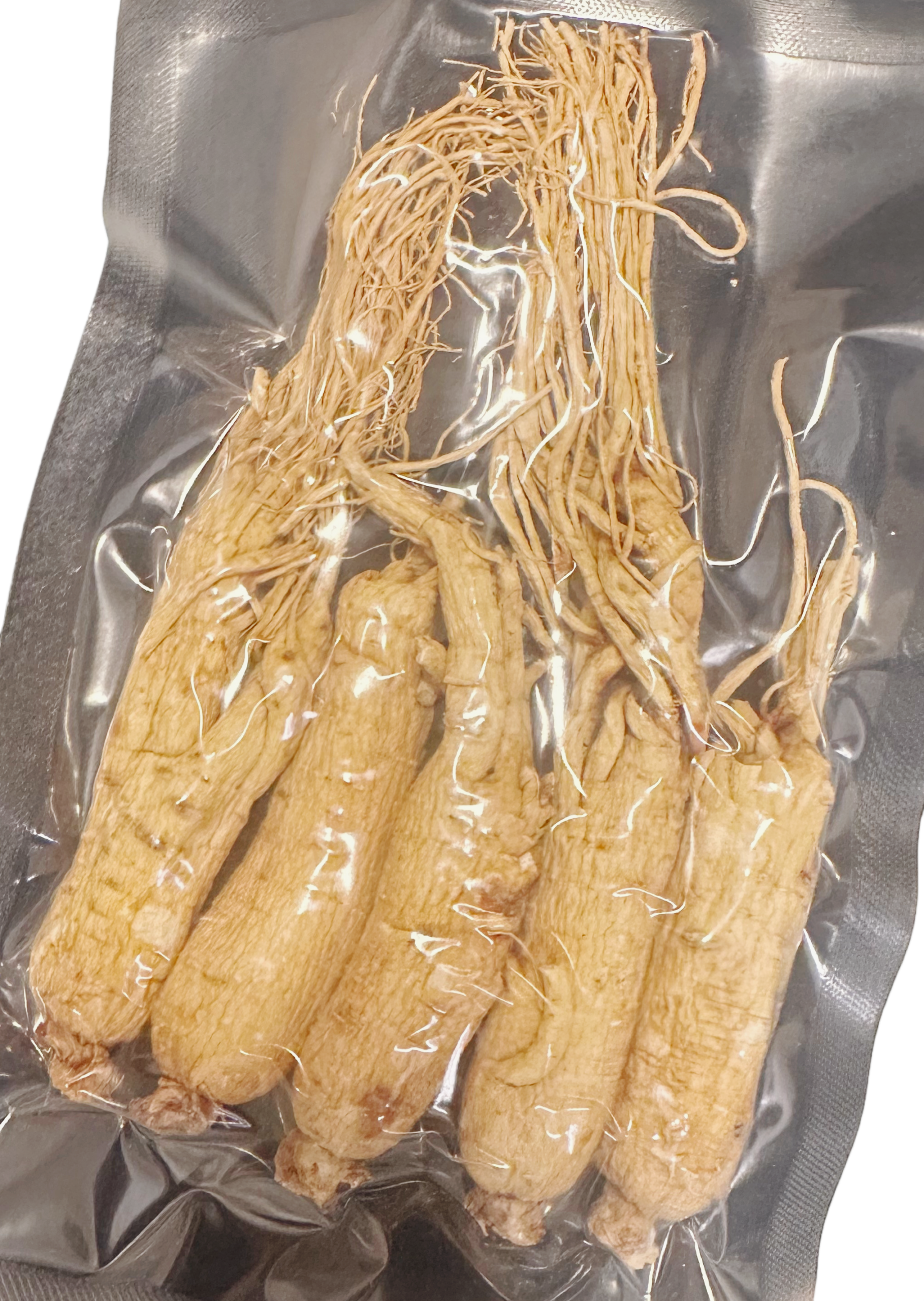 Ginseng Root Whole 2025 New Harvest (5 roots) - Herb Whisperer